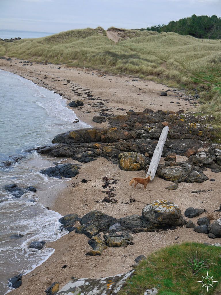 Zwei Tage in Edinburgh: Der East Lothian Coast Walk